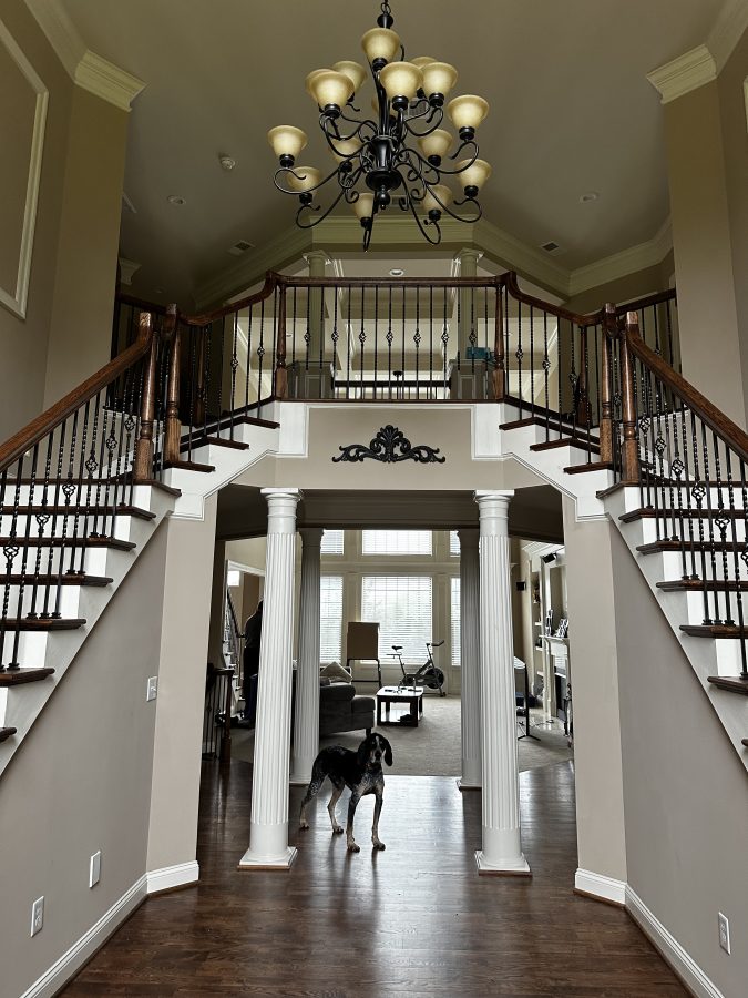 Leesburg Foyer-Grace Thomas Design